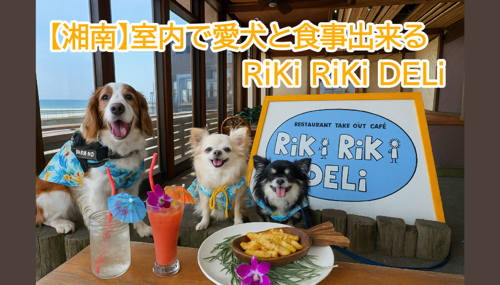 ※閉店※【湘南ランチ】真夏や雨でも安心！室内OKの湘南カフェで愛犬とランチ｜RiKi RiKi DELi | 犬活日記｜犬と暮らす楽しみをまるごとシェア